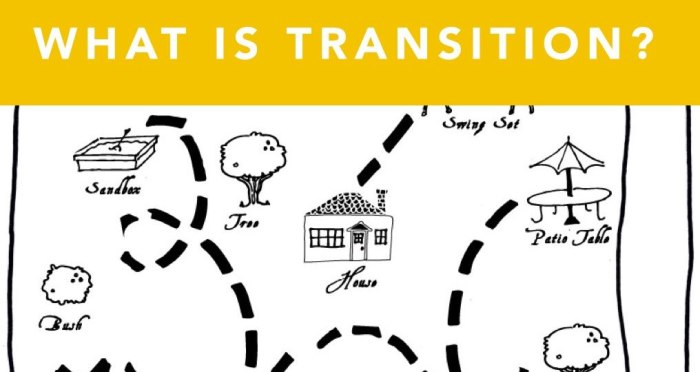 5 Myths About Non-Binary Transition – genderqueer.me